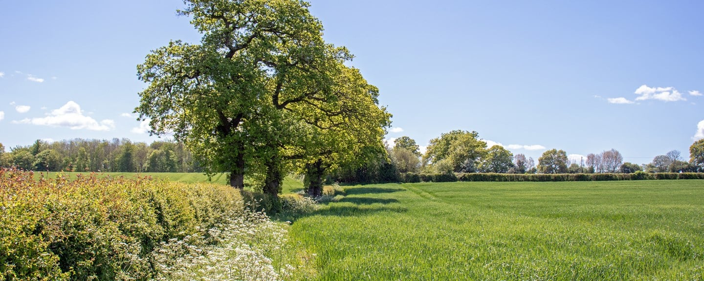 FDF Nature Handbook - Nature Positive by 2030
